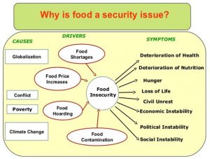 Food security, its determinants and urbanization - Public Health Notes