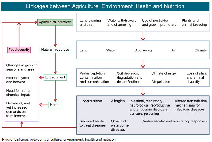 Relationship between Climate change, Agriculture and Nutrition - Public ...