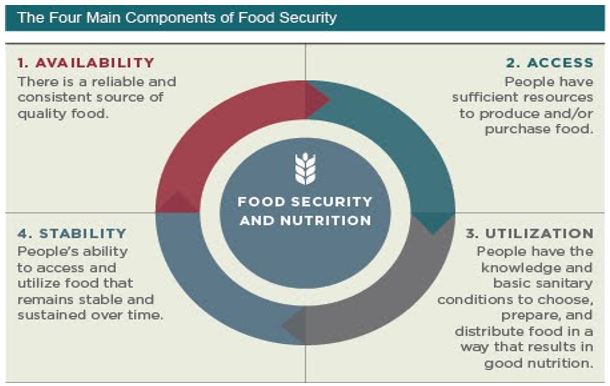 Components - Public Health Notes