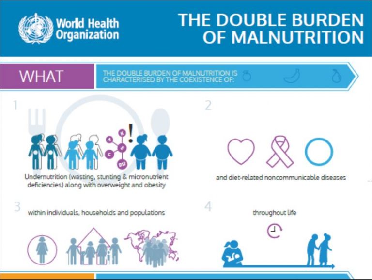 Double Burden of Malnutrition, Challenges and Global Approaches for its ...
