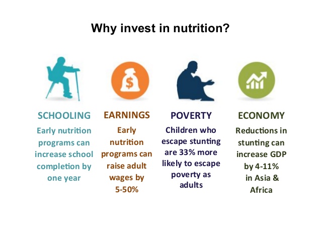 Why Invest on Nutrition: Effects on Health and Economy - Public Health ...