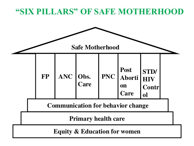 Pillars of Safe Motherhood - Public Health Notes