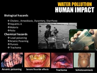 Pollution (Air, Water and Land): Effects on Health, Mitigation Measures ...