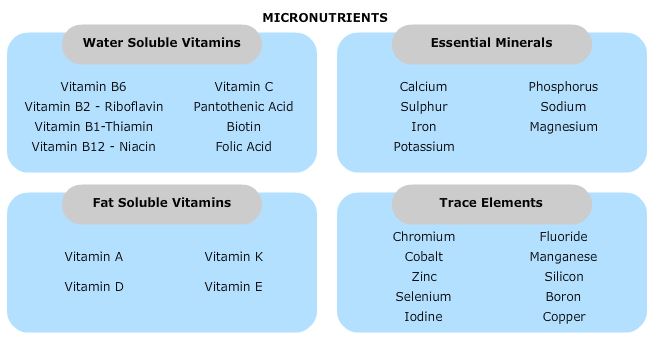 15 Differences between Macro-nutrients and Micro-nutrients - Public ...