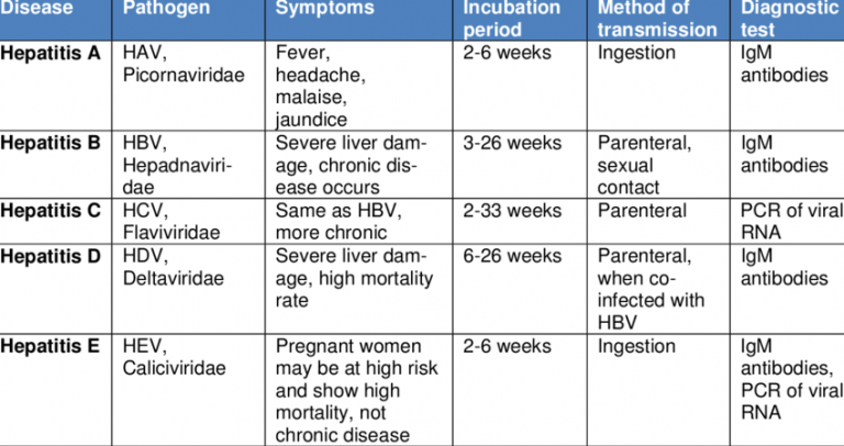 Five Types of Hepatitis: All Explained ! - Public Health Notes