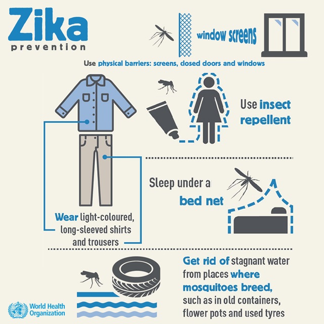 Zika Virus: Everything That You Must Know ! - Public Health Notes