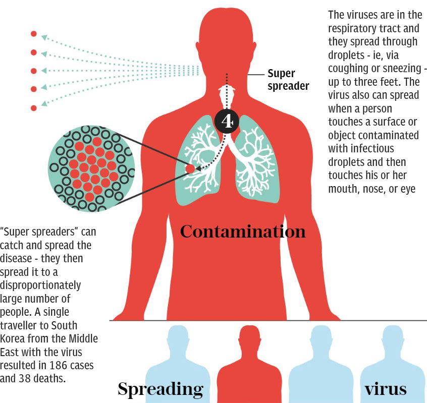 What is Novel (New) Corona Virus: Everything You Need to Know ...