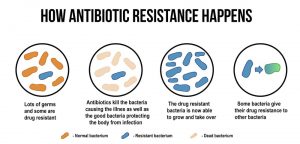 What is Antimicrobial Resistance (AMR)? - Public Health Notes