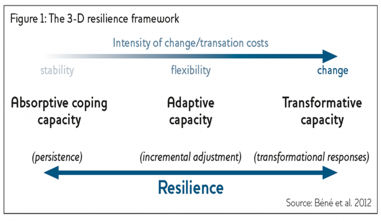 What is Shock, Stresses And Resilience? - Public Health Notes