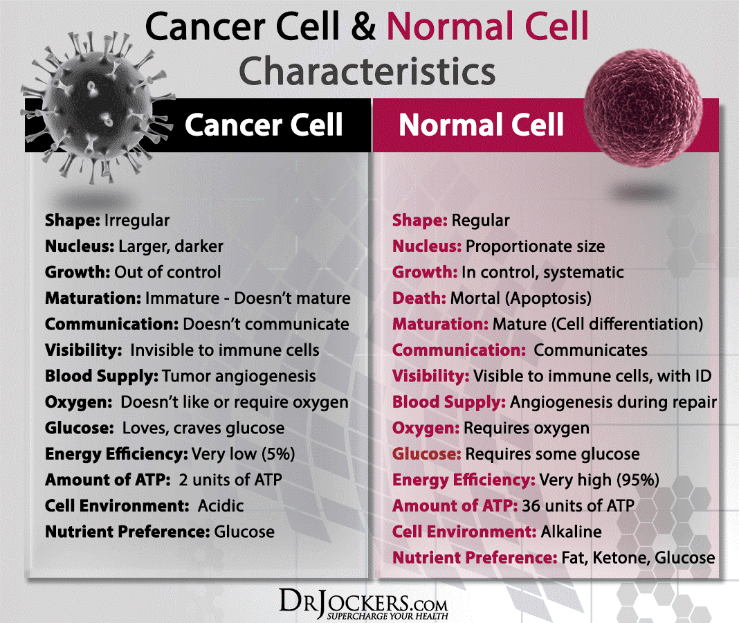 cancer Vs normal cell - Public Health Notes