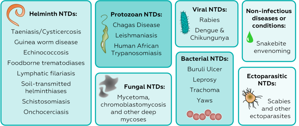 Neglected Tropical Diseases (NTDs): Characteristics, List of NTDs ...