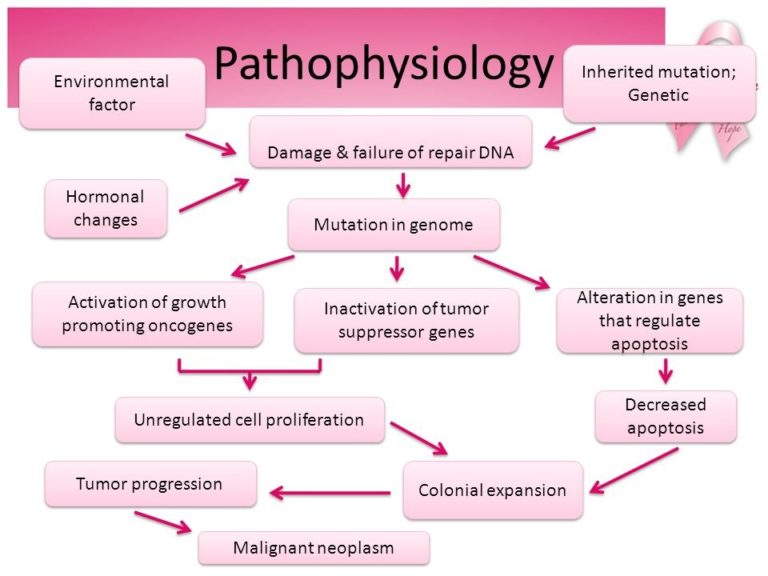 Cancer: Types, Causes, Risk Factors, Symptoms, Stages, Prevention ...