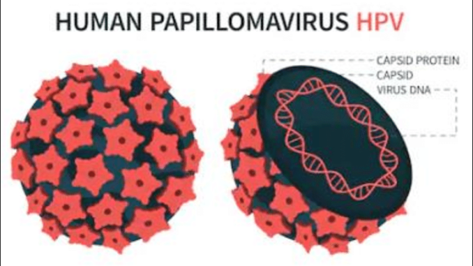 Human Papilloma Virus (HPV): Transmission, Symptoms, Diagnosis ...