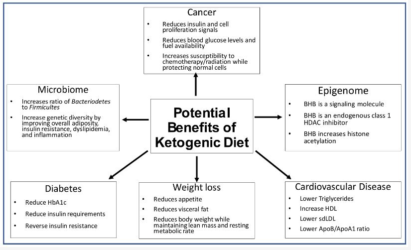 Keto Diet What Is Ketogenic Diet Public Health Notes